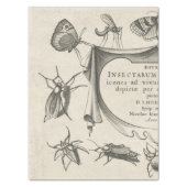 Vintage Insect Decoupage Tissue Paper | Zazzle