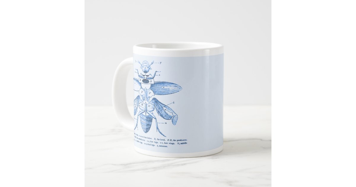 Vintage Insect Image | Beetles | Blue Giant Coffee Mug | Zazzle