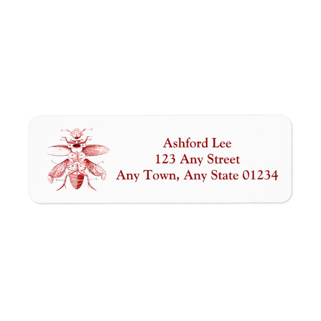 Vintage Insect Image | Beetles | Red Label | Zazzle