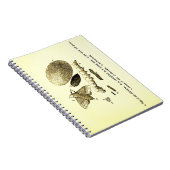Vintage Insect Image | Silkworm | Moth Notebook | Zazzle