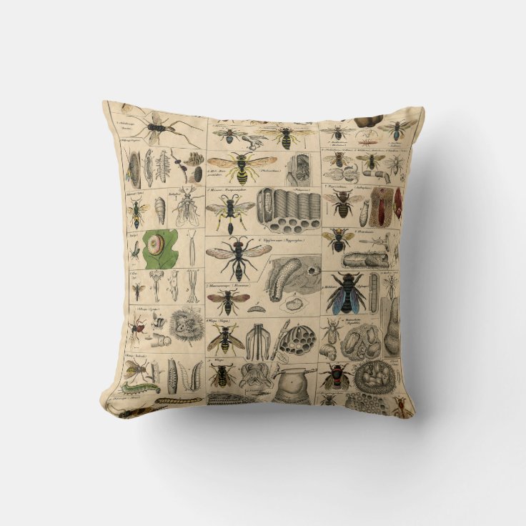 Vintage Insects Bees and Wasps Entomology Throw Pillow | Zazzle