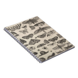 Vintage Insects Entomology Lepidoptera Field Notes Notebook | Zazzle