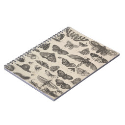Vintage Insects Entomology Lepidoptera Field Notes Notebook | Zazzle