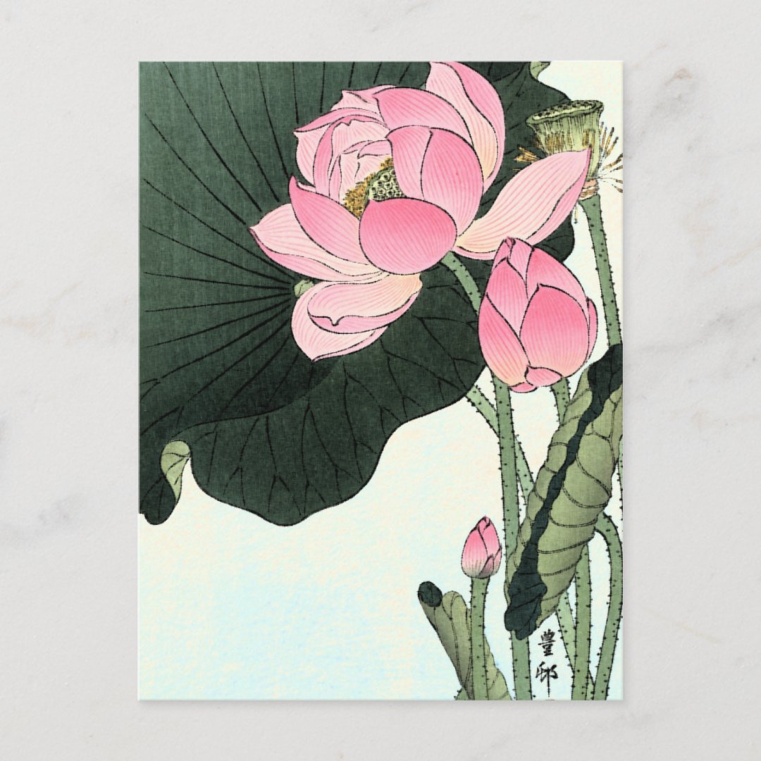 Vintage Japanese Lotus Flower Postcard | Zazzle