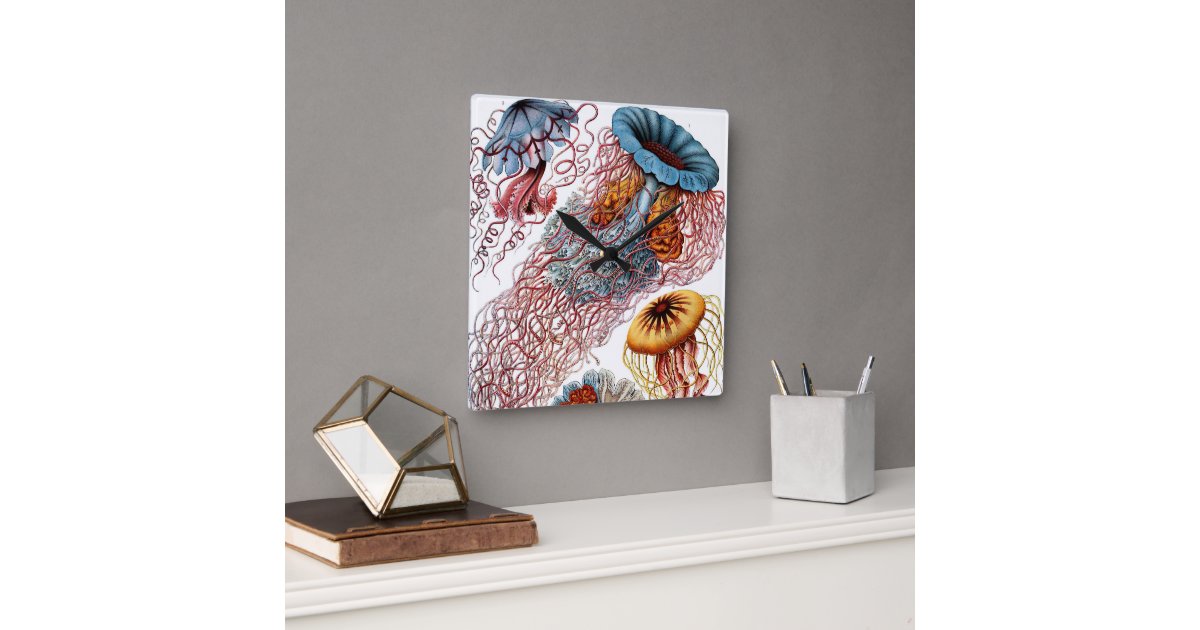 Vintage Jellyfish by Ernst Haeckel, Discomedusae Square Wall Clock | Zazzle
