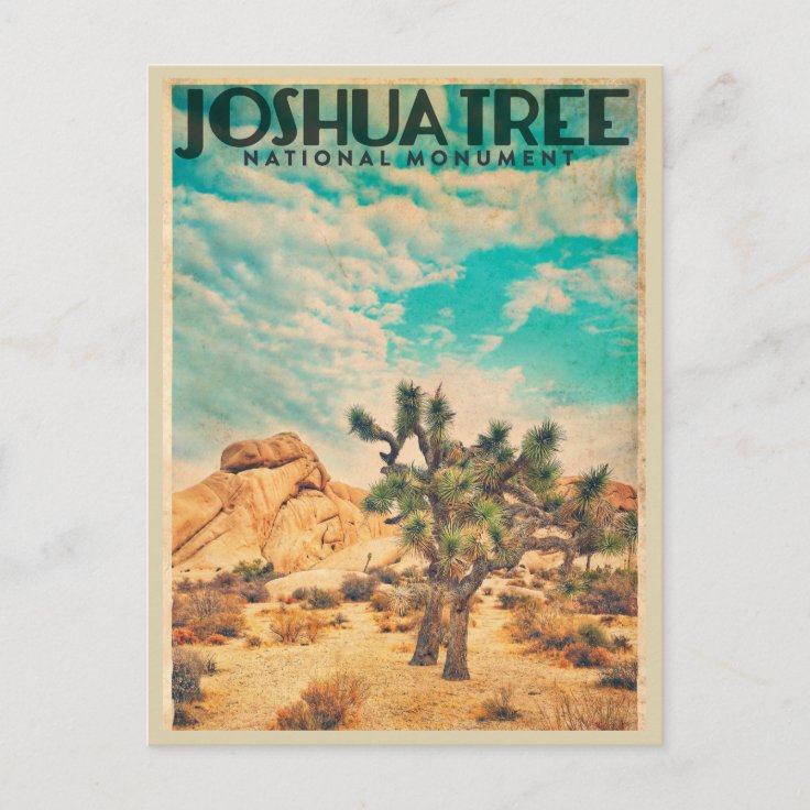 Vintage Joshua Tree Travel Postcard | Zazzle