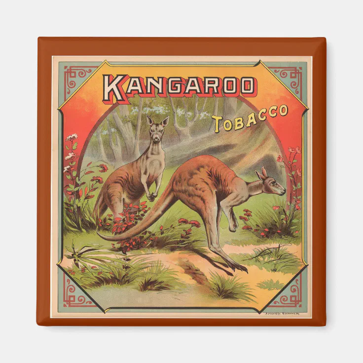 Vintage Kangaroo Advertisement Magnet | Zazzle