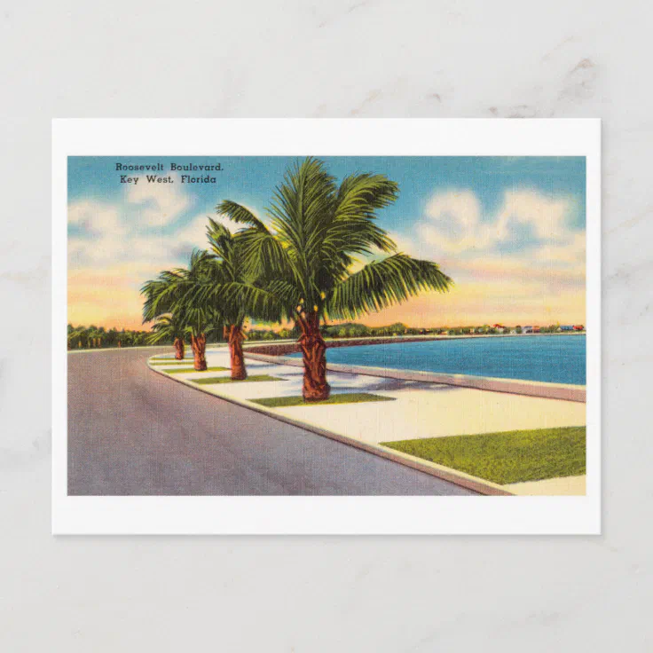Vintage Key West Florida Roosevelt Blvd Postcard | Zazzle