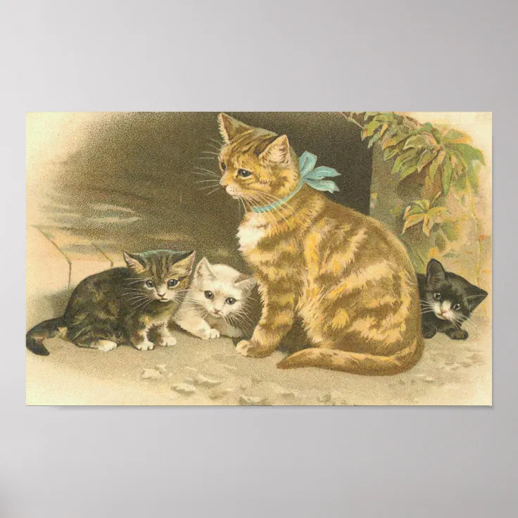 Vintage Kitten Poster | Zazzle