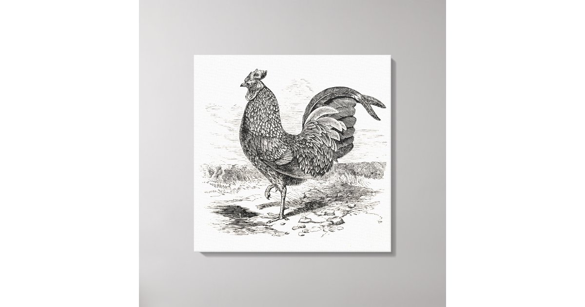 hen canvas