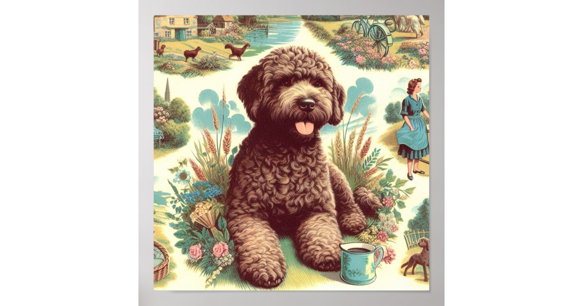 Vintage Lagotto Romagnolo Illustration Poster | Zazzle