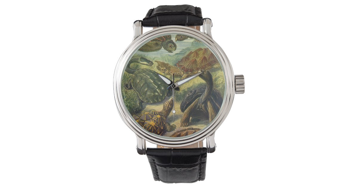 Vintage Land Tortoise Sea Turtles by Ernst Haeckel Watch | Zazzle