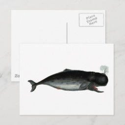 Vintage Laughing Whale Postcard | Zazzle