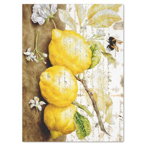 Vintage Lemon And Bee Ephemera Tissue Paper | Zazzle