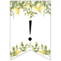 Vintage Lemon Custom Text Bunting Flags | Zazzle