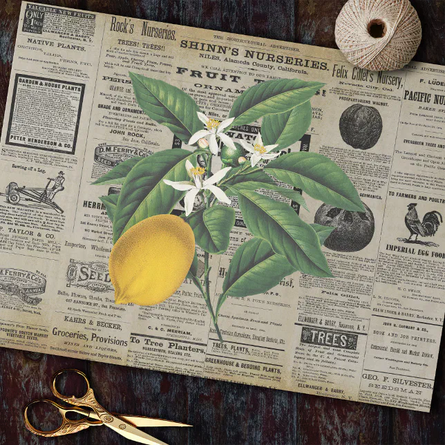 Vintage Lemon Fruit Horticulture Ads Ephemera Tissue Paper | Zazzle