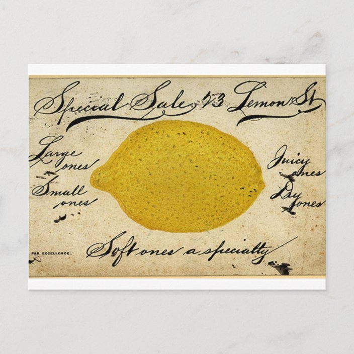 Vintage Lemon Handwritten Postcard Advertisement | Zazzle.com