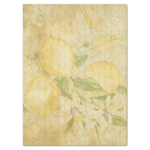 Vintage Lemon White Floral Script Decoupage Tissue Paper | Zazzle