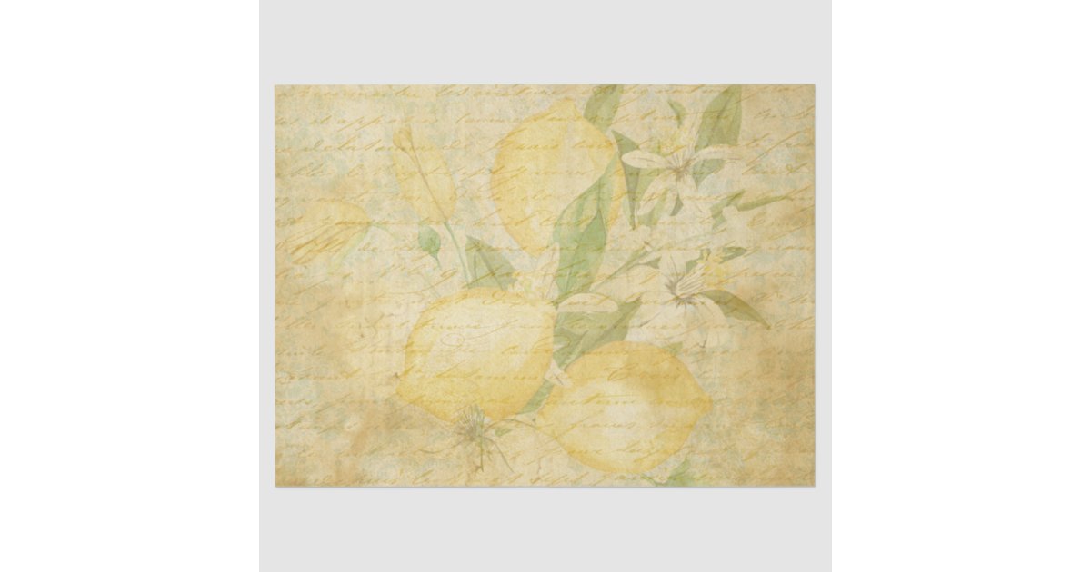 Vintage Lemon White Floral Script Decoupage Tissue Paper | Zazzle