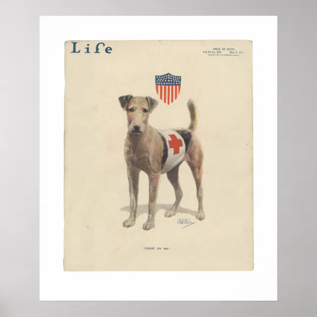 Vintage Life Magazine Cover Poster May, 1917 | Zazzle