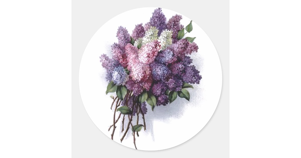 Vintage Lilacs Classic Round Sticker | Zazzle
