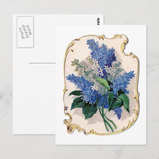 Vintage Lilacs Postcard | Zazzle
