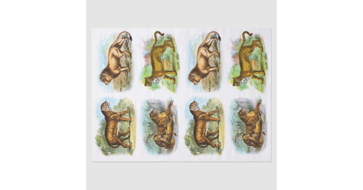 Vintage Lion Tiger Decoupage Collage Tissue Paper | Zazzle