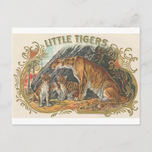 Vintage Little Tigers Postcard | Zazzle