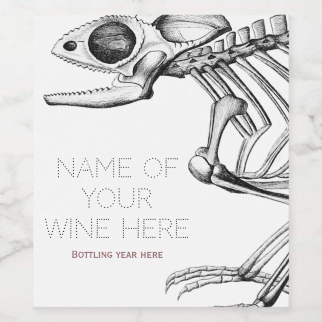 lizard drawing and label