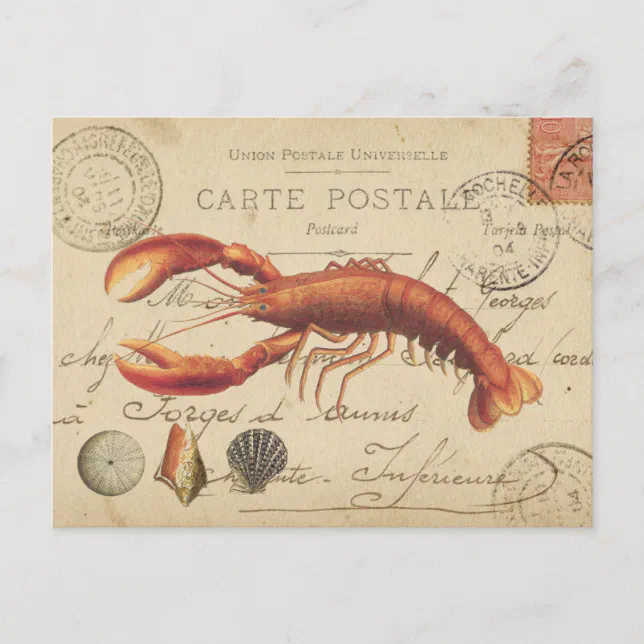 Vintage Lobster and seashells postcard | Zazzle