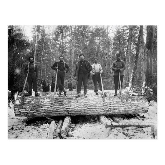 Vintage Loggers Postcard | Zazzle.com