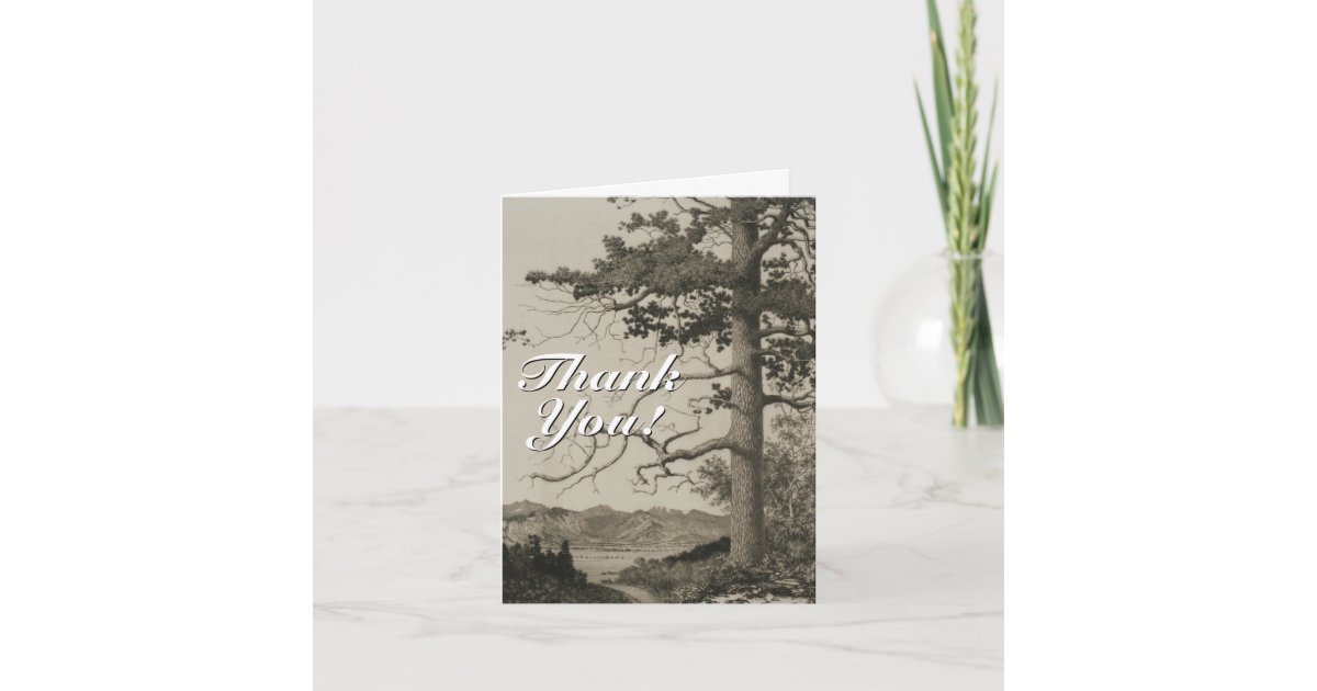 Vintage Look Scenery + "Thank You!" Thank You Card | Zazzle