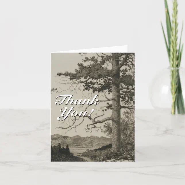 Vintage Look Scenery + "Thank You!" Thank You Card | Zazzle