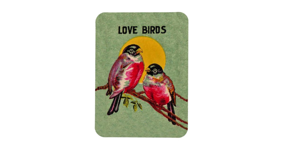 Vintage Love Birds Sun Magnet | Zazzle