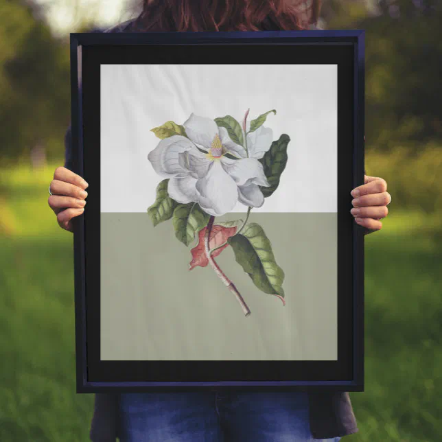 Vintage Magnolia Blossom Colorblock Poster | Zazzle