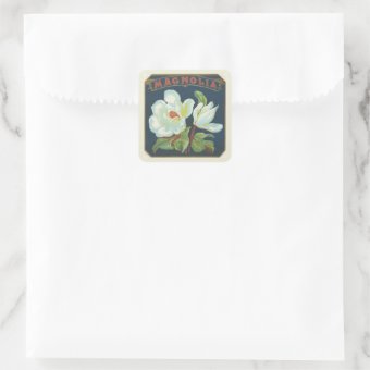 Vintage Magnolia Flower Square Sticker | Zazzle