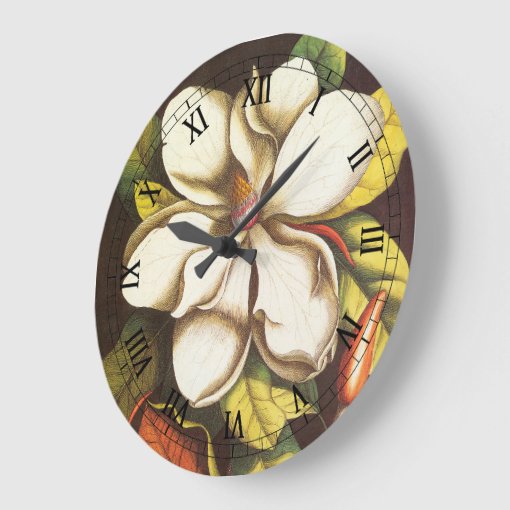 Vintage Magnolia Flowers Plant With Seeds Large Clock | Zazzle