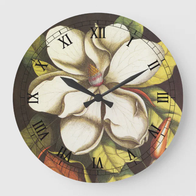 Vintage Magnolia Flowers Plant With Seeds Large Clock | Zazzle