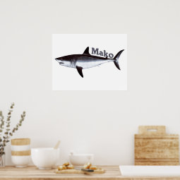 Vintage Mako Shark Poster | Zazzle