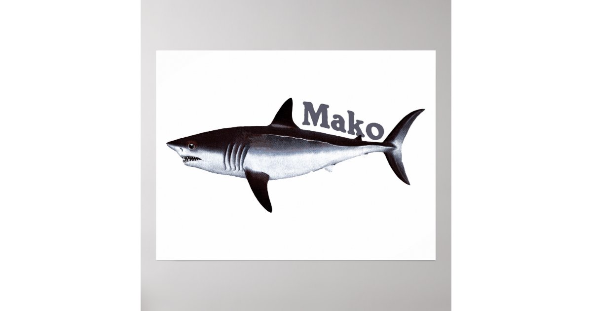Vintage Mako Shark Poster | Zazzle