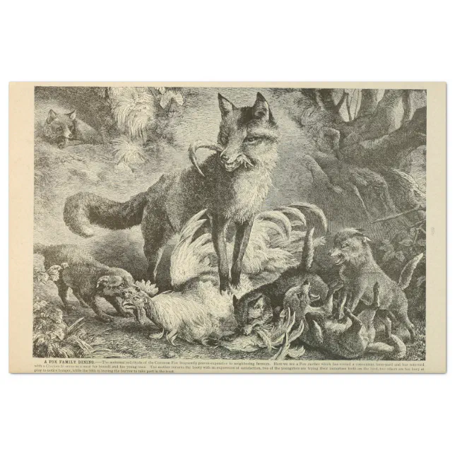 Vintage Mama Fox Ephemera Decoupage Tissue Paper | Zazzle