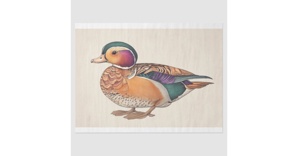 Vintage Mandarin Duck Ornithology Decoupage Print Tissue Paper | Zazzle