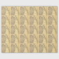 Vintage Map of The Outer Banks (1862) Wrapping Paper | Zazzle