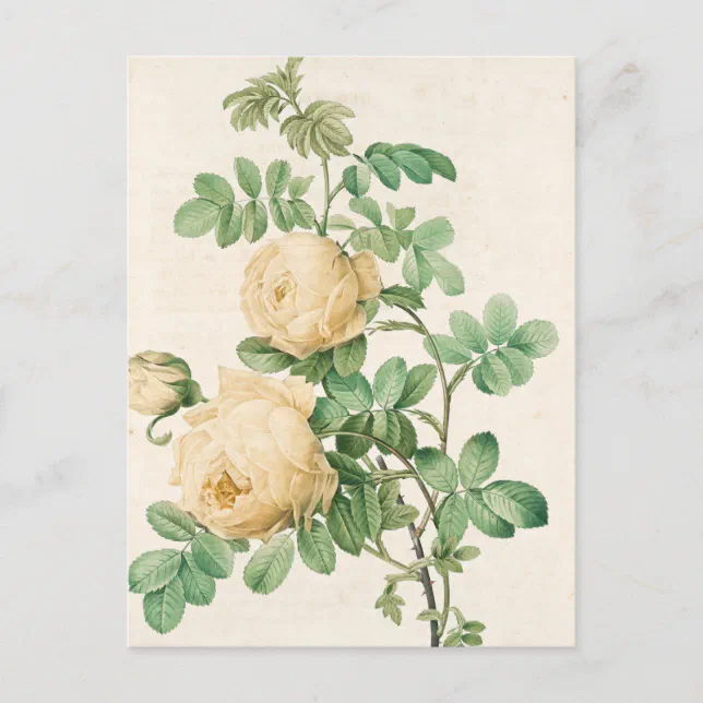 Vintage Map Postcard | Zazzle