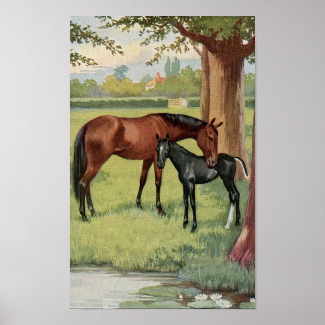 Vintage Mare Colt Filly Horse Equestrian Image Poster | Zazzle
