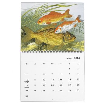 Vintage Marine Life Fish, Oceans and Rivers Calendar | Zazzle