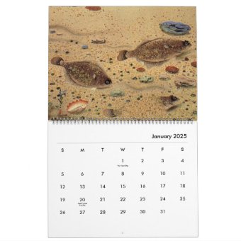 Vintage Marine Life Fish, Oceans and Rivers Calendar | Zazzle