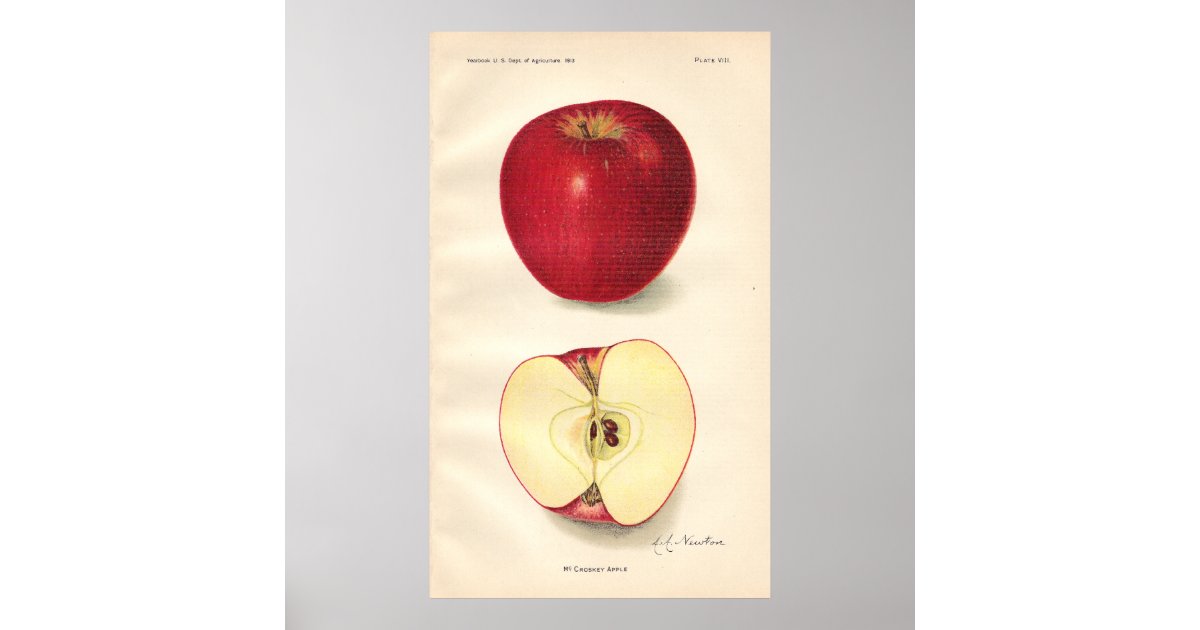 Vintage McCroskey Apple Poster | Zazzle