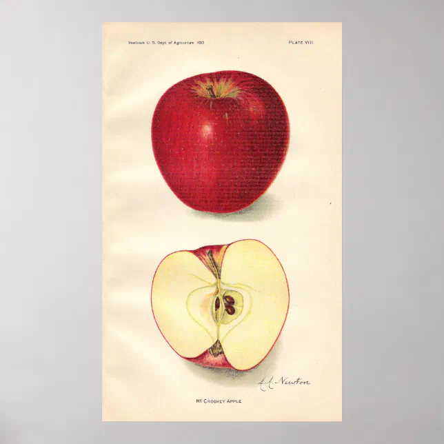 Vintage McCroskey Apple Poster | Zazzle
