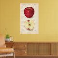 Vintage McCroskey Apple Poster | Zazzle